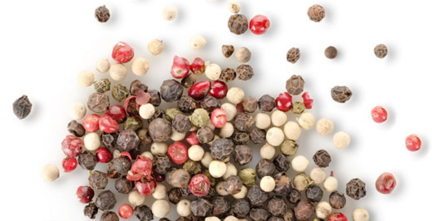 Pilpul | Jüdische Allgemeine