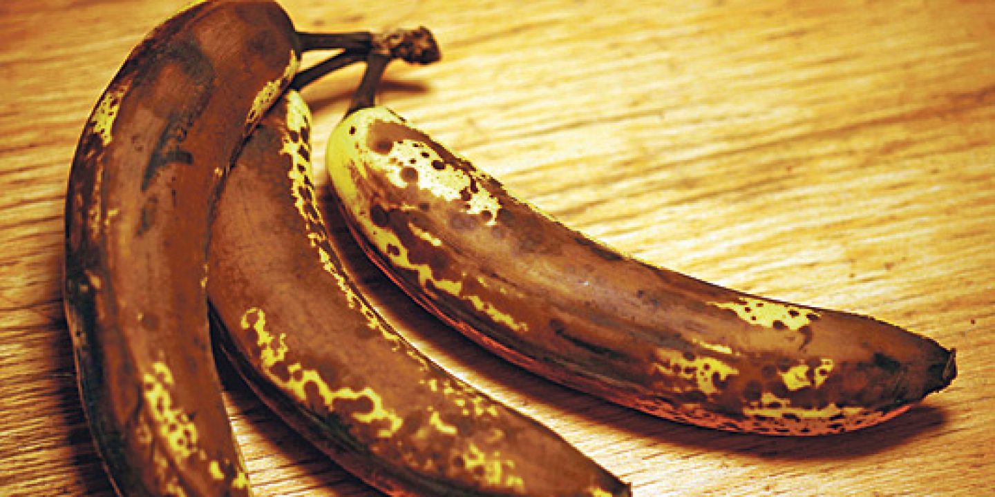 Schund und Schofel | Jüdische Allgemeine