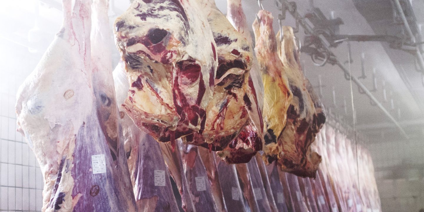 Gebot statt Verbot? | Jüdische Allgemeine