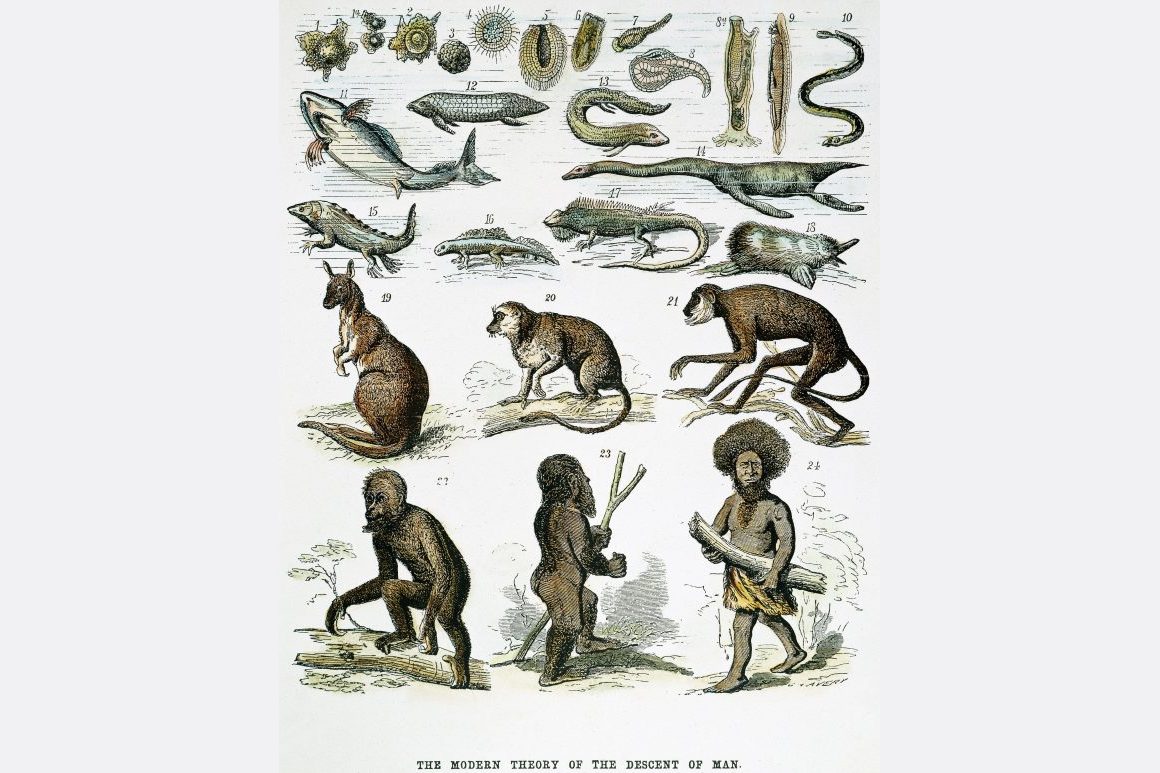 Ein deutscher Darwinist | Jüdische Allgemeine