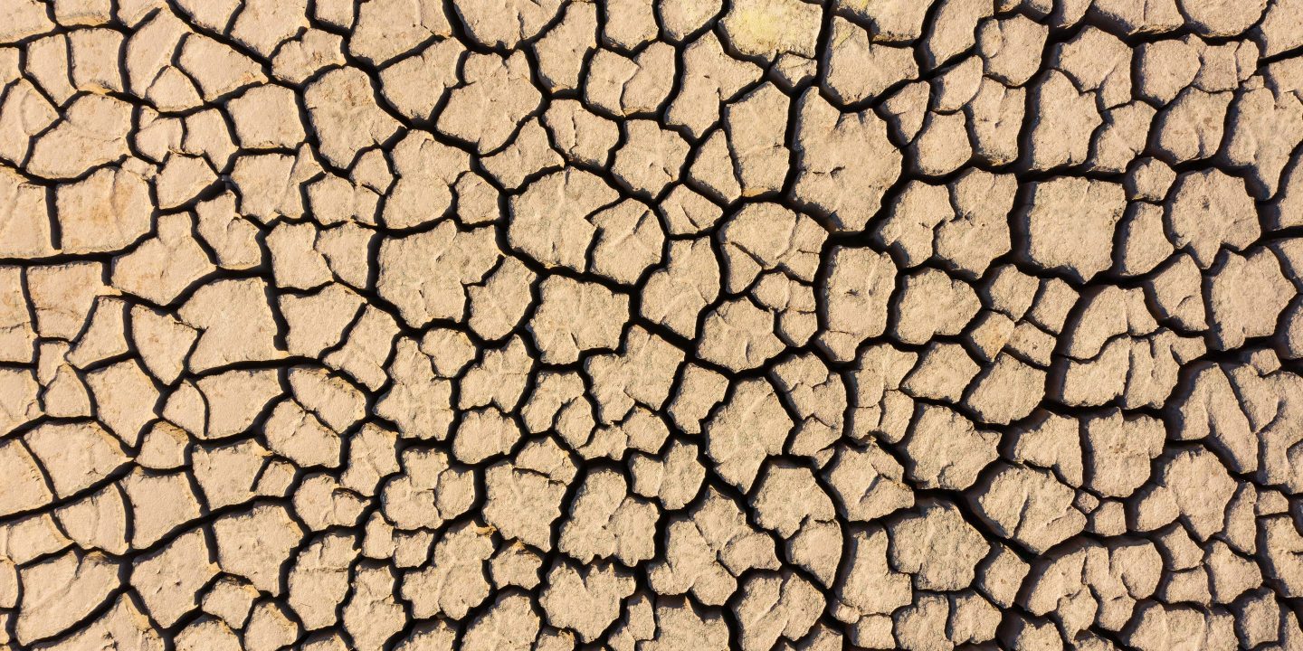 Ursachen der Galut | Jüdische Allgemeine