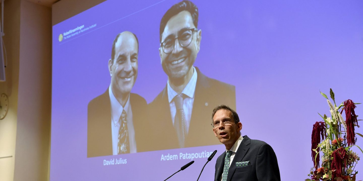 David Julius erhält den Medizin-Nobelpreis | Jüdische Allgemeine