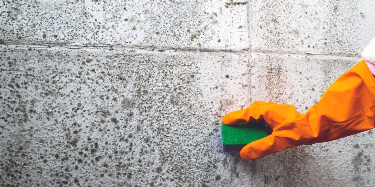 Die Reinheit zurückerlangen | Jüdische Allgemeine